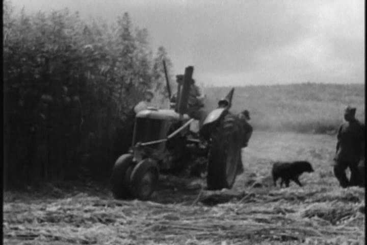 1910s, 1920s - Very Early Shots Of Rural Life In America At The Turn Of ...