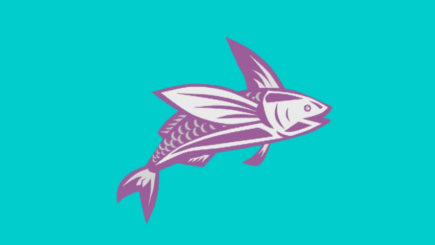 2d Animation Of Illustration Of A Trout Fish Jumping Swimming Done In ...