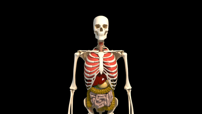 Stock video of animated 3d human spinning on the | 2960761 | Shutterstock