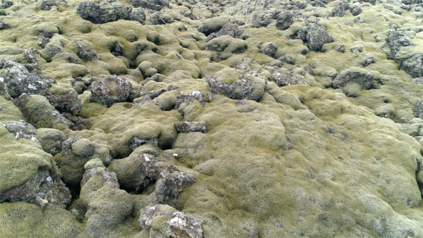 Flying Over Moss Covered Volcanic Rock In West Iceland Stock Footage ...