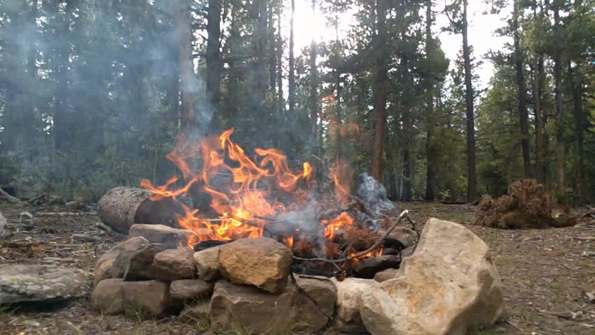 Burning Large Fire In Fire Pit In Pine Forest With Sun Shinning From ...