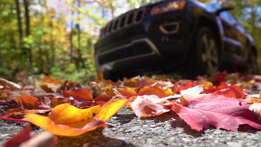 Ontario, Canada October 2015 Vibrant Fall Colors On Sunny Autumn Day In ...