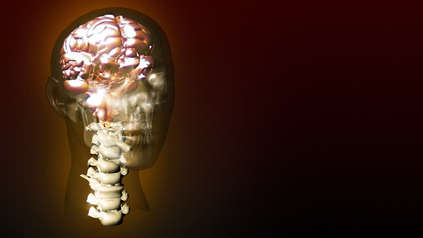 Stock video of 3d animated human head | 309811 | Shutterstock