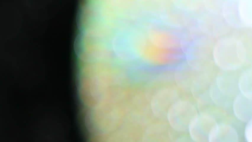 Diffraction Stock Video Footage - 4K and HD Video Clips | Shutterstock