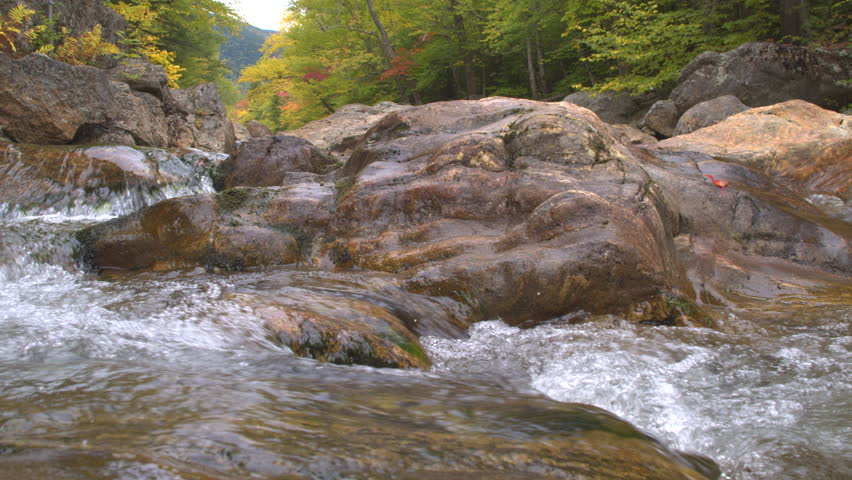 CLOSE UP DOF Smooth Oval Stones On Riverbank Of Beautiful Calm River ...