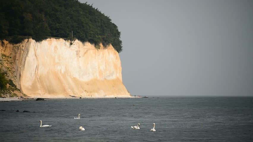 Sea Cliffs on the Baltic Sea in Germany image - Free stock photo ...