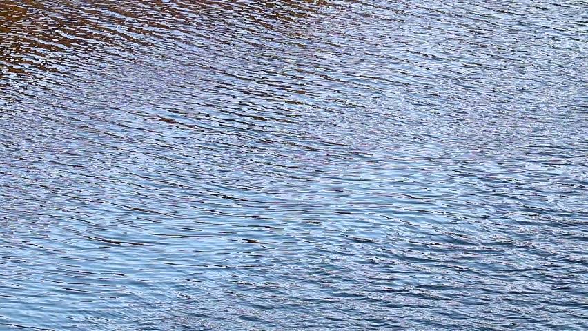 Lake Water Texture Stock Footage Video 1311949 | Shutterstock
