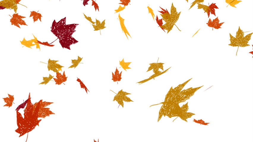 Fall Orange Leaves On White Background. Stock Footage Video 4643738 ...