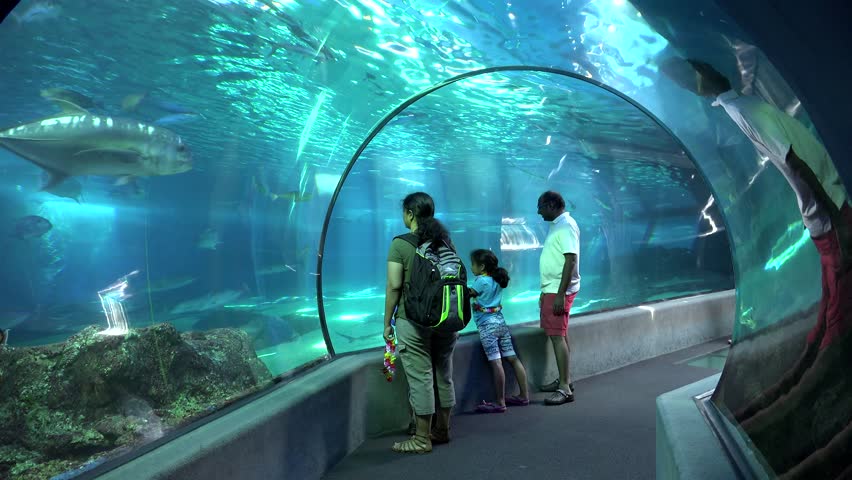 Video de stock de maui ocean center, - may 09: transparent | 32964121 ...