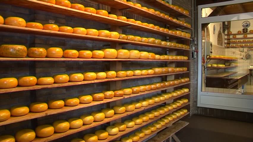 Cheese Factory and cheese products image - Free stock photo - Public ...