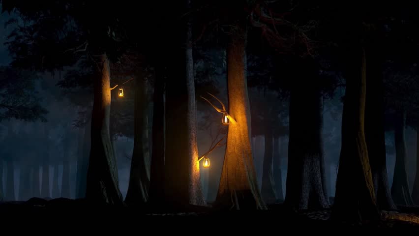 Stock video of fantastic dark forest - lights | 33683731 | Shutterstock