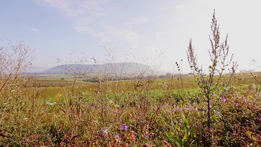 Road To Wild Fields Sunrise Back Lit Horizontal Pan Shot. Stock Footage ...