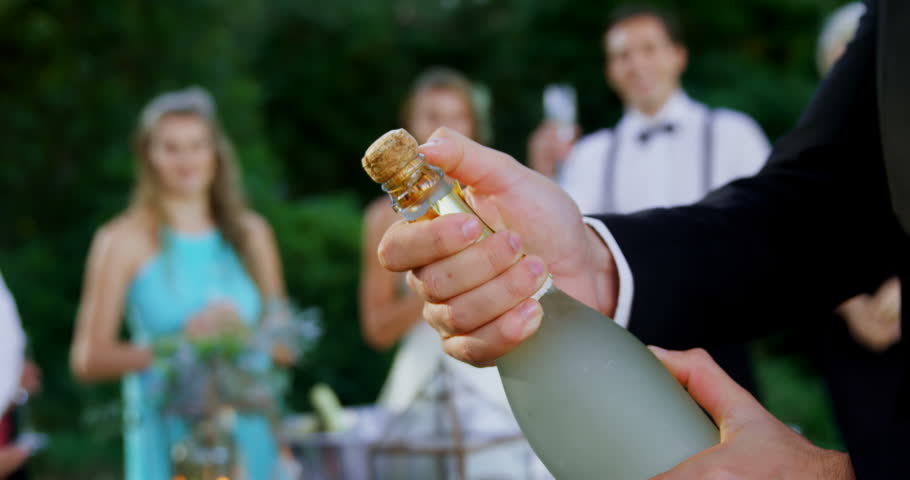 Close-up of Champagne Toasting Ceremony Stock Footage Video (100% ...