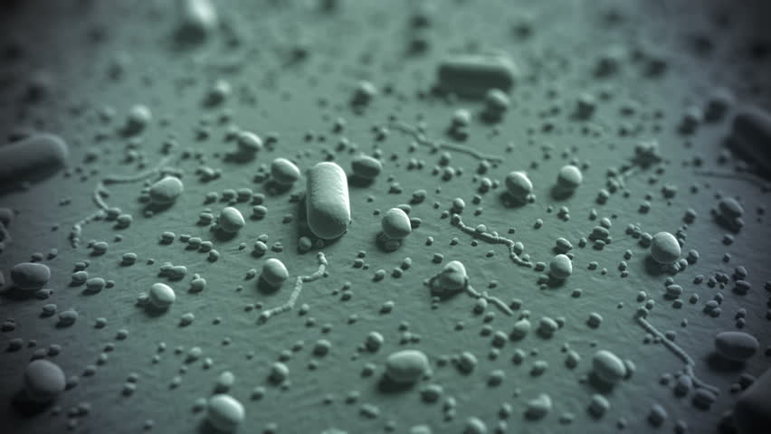 Stock video of closeup of bacterias under microscope. it | 3634721 ...