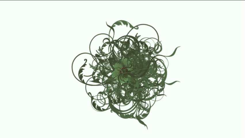 Growing Curly Vine Plant Background,flower 库存影片视频（100% 免版税）3837791 ...