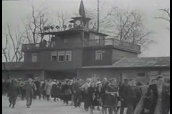 1940s - Survivors Of The Holocaust Are Discovered By Allied Forces At ...