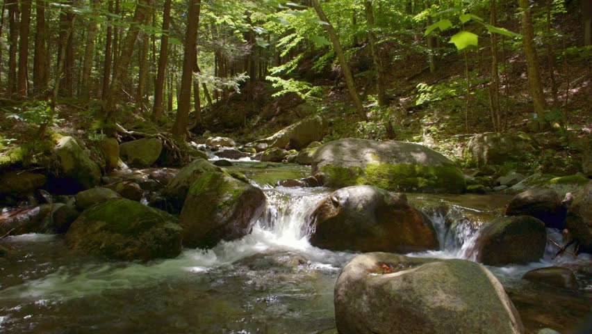 Whitewater Mountain Stream Courses Over Stock Footage Video (100% ...