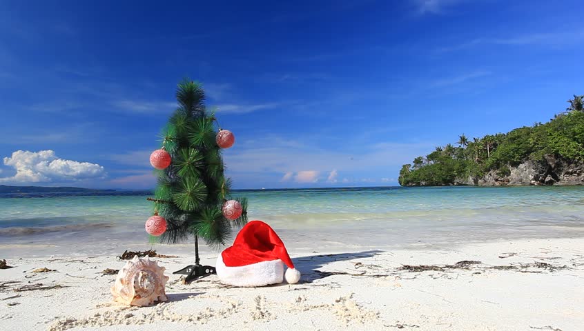 Christmas Tree On Caribbean Beach Stock Footage Video 5161403 ...