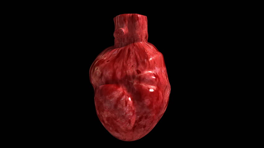 Stock video of heart beating, seamless loop, with matte | 4790711 ...