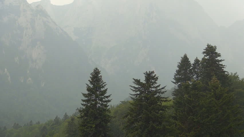 Stock video of rainy day in mountains, forest, rain | 4988231 ...