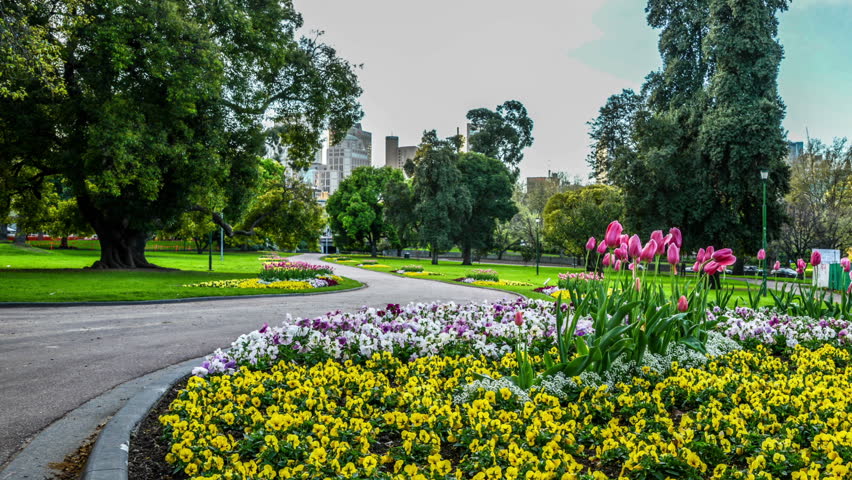 Flower Park Beautiful Scene