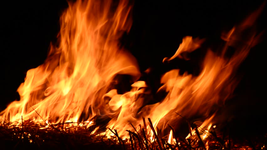 Calm Fire Background (full Hd ,slow Motion, Seamless Loop) Stock ...