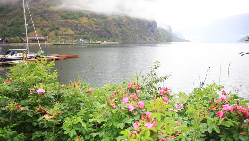 Stock Video Clip of Wet Morning in Norwegian Fjord, Flam Norway ...