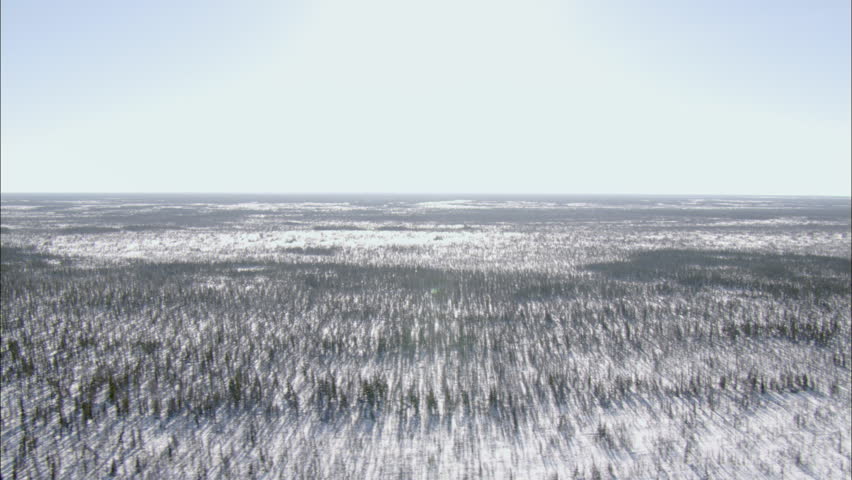 Frozen Tundra. Aerial Shot Of A Vast Frozen Expanse Of Flat Land. Stock ...
