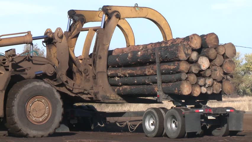 Logging Truck Stock Video Footage - 4K and HD Video Clips | Shutterstock