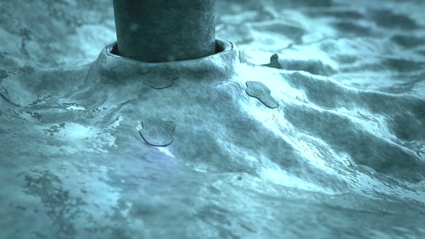 Stock Video Clip of Dandruff, hair, Skin under microscope, image of ...