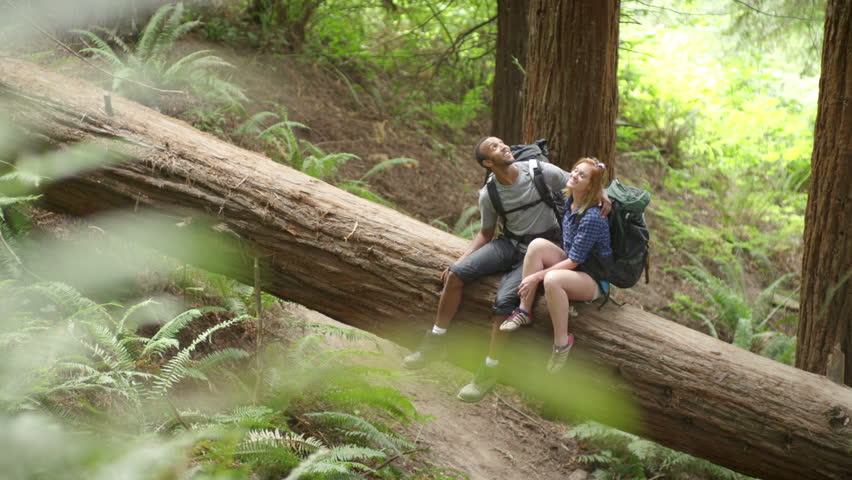 A Couple Sitting On A Fallen Tree Look Around The Forest Stock Footage ...