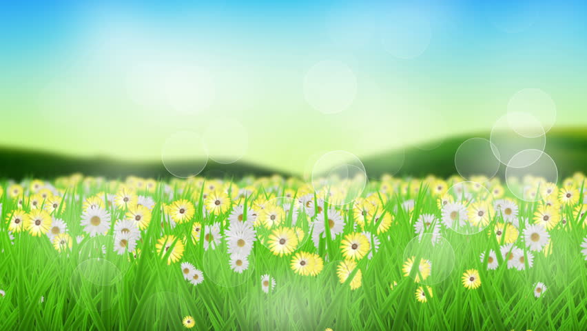 Spring and Summer Background Animation Stock Footage Video (100% ...