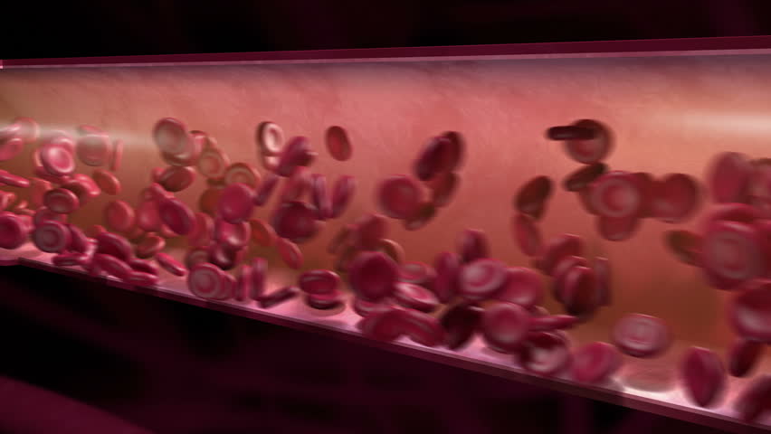 Blood Flow - Animation of Stock Footage Video (100% Royalty-free ...