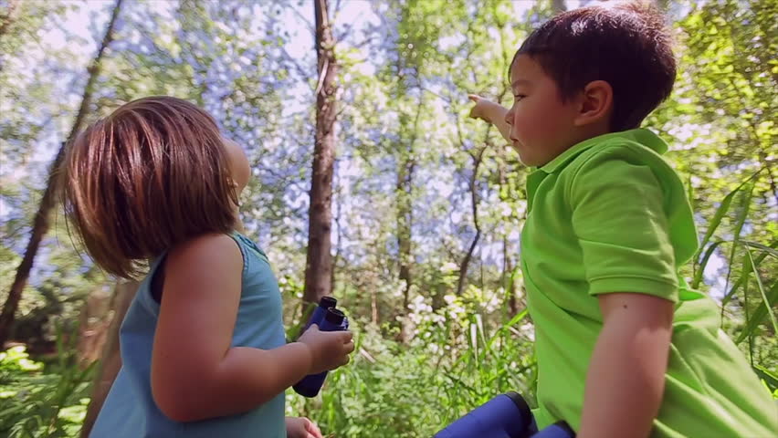 Stock video of kids in the forest together, little | 6445061 | Shutterstock