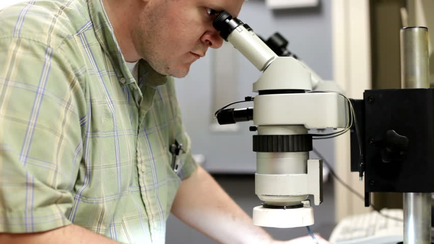 Stock video of man using microscope | 649231 | Shutterstock