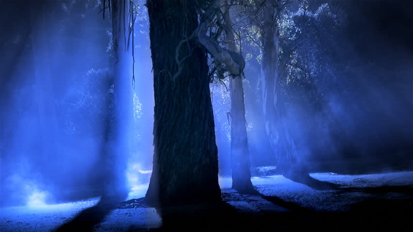 Dark Spooky Night Time Forest In The Moonlight. Mist Rises From Frosty ...
