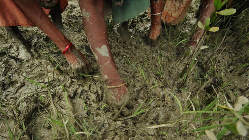 Stock video of closeup of women planting muddy farmland | 7166191 ...