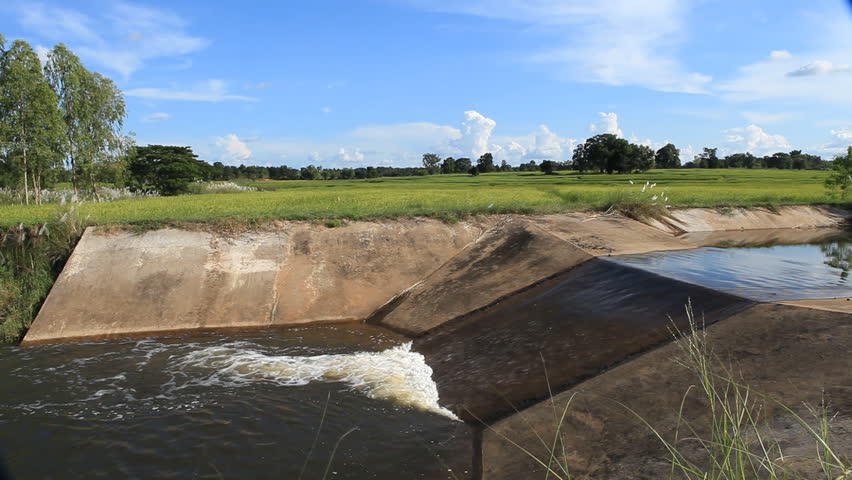 Stock Video Clip of side view of water flow in irrigation | Shutterstock