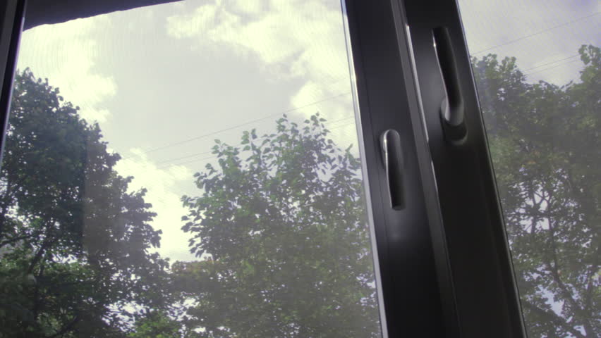 Trees Seen from a Window, Stock Footage Video (100% Royalty-free ...