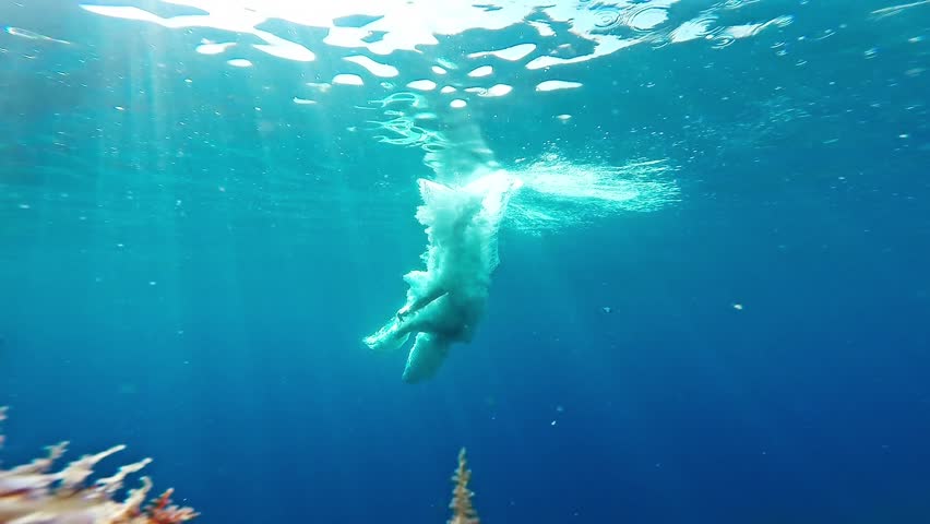 Stock video of young man jumping into water underwater | 8623771 ...