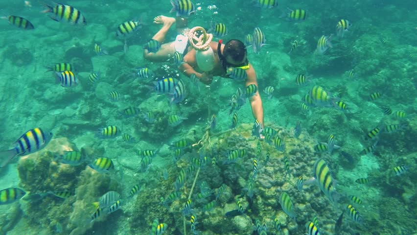 Man Diving in Coral Reef Stock Footage Video (100% Royalty-free ...