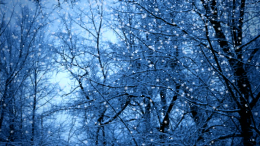 Snowfall in Twilight Forest (seamless Stock Footage Video (100% Royalty ...